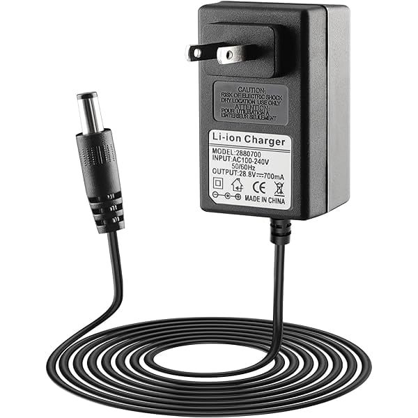 24 Volt Charger for Ride on Toys, 24V Kids Ride On Car Charger, 24 Volt ...