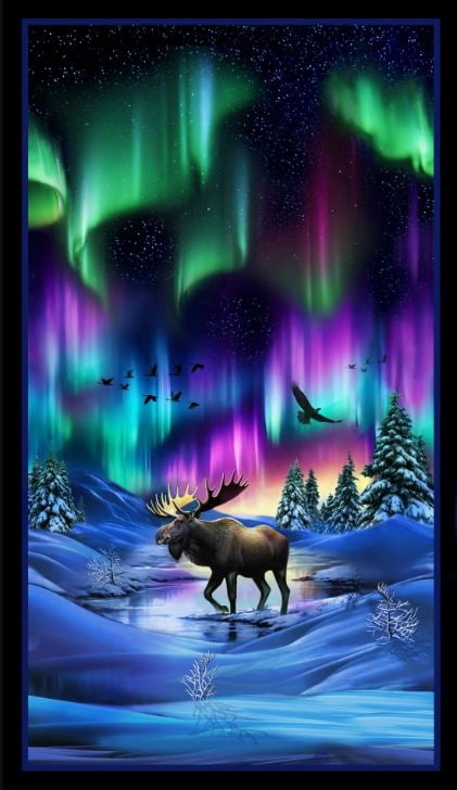 24" X 44" Panel Aurora Moose Northern Lights Wildlife Snow Night ...