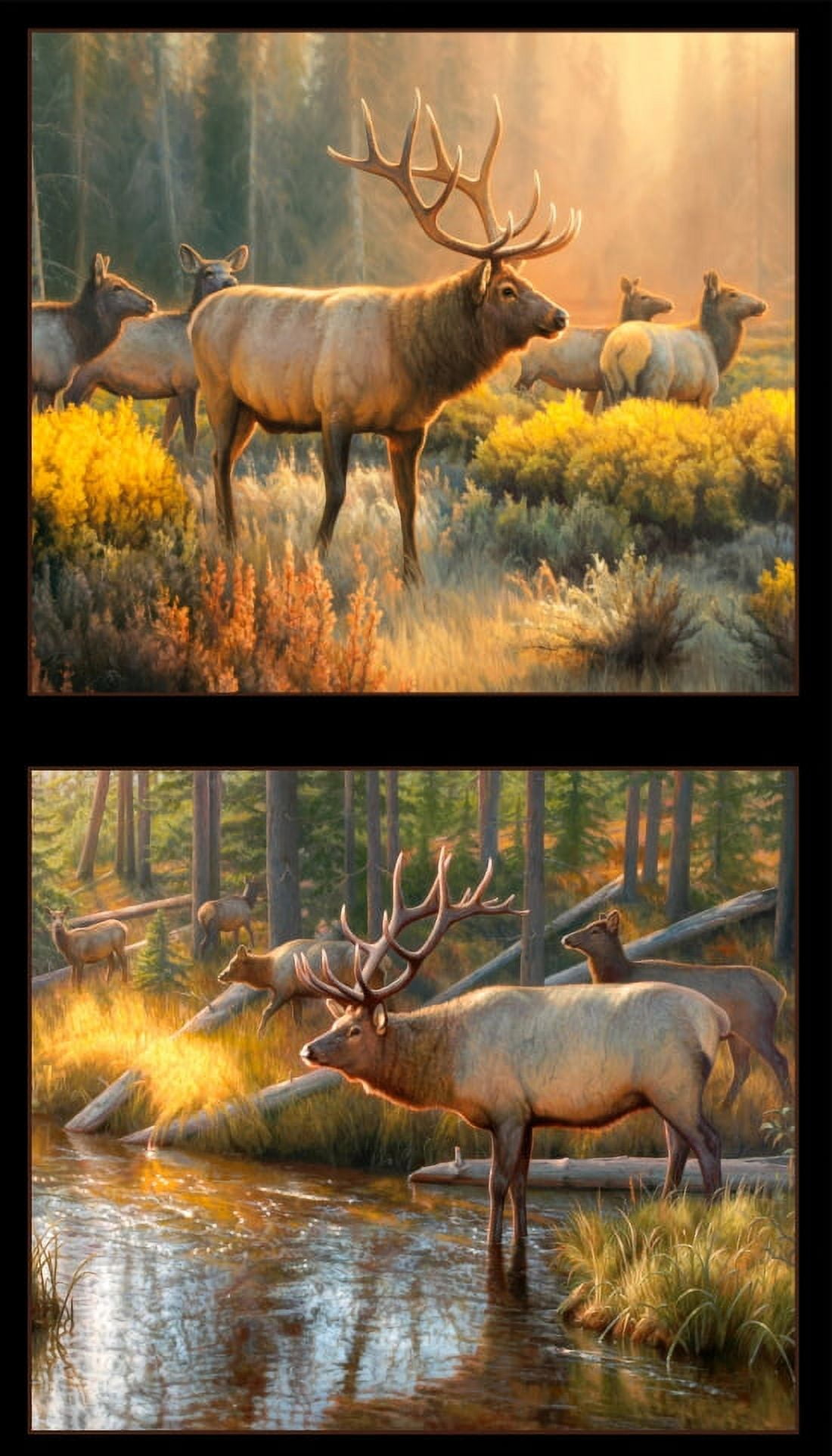 24" X 44" Panel Elk Wildlife Animals Nature Scenic Northwoods Morning ...