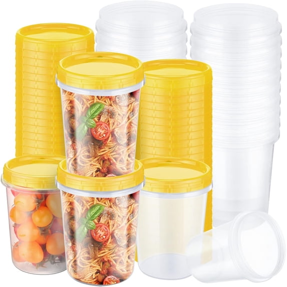 24 count 32 oz Storage Freezer Container with Twist Top Plastic Soup ...