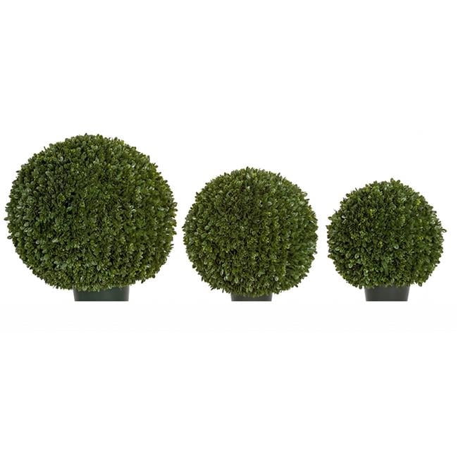 24 in. Japanese Boxwood Ball Topiary, Tutone Green - Walmart.com