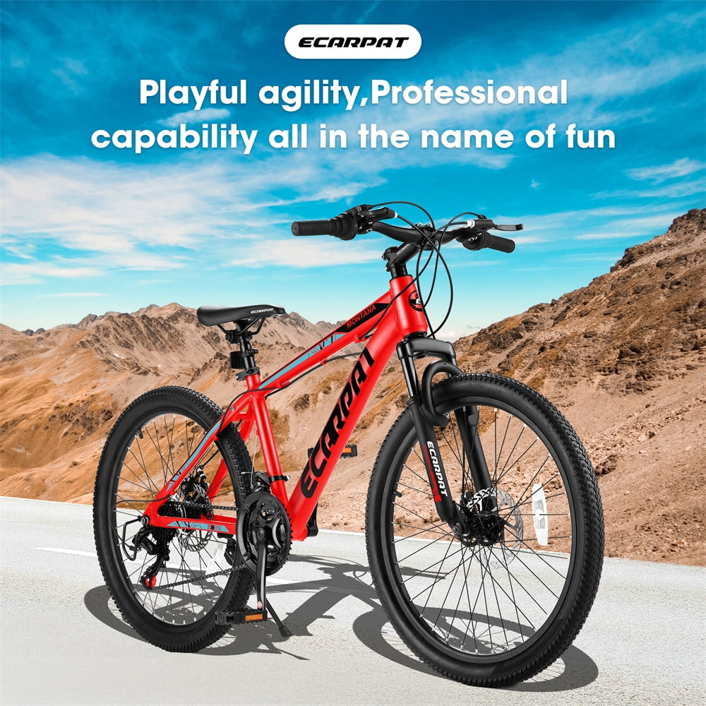 24 inch Mountain Bike, 21-Speed Aluminum Frame Bicycle with Dual Disc ...