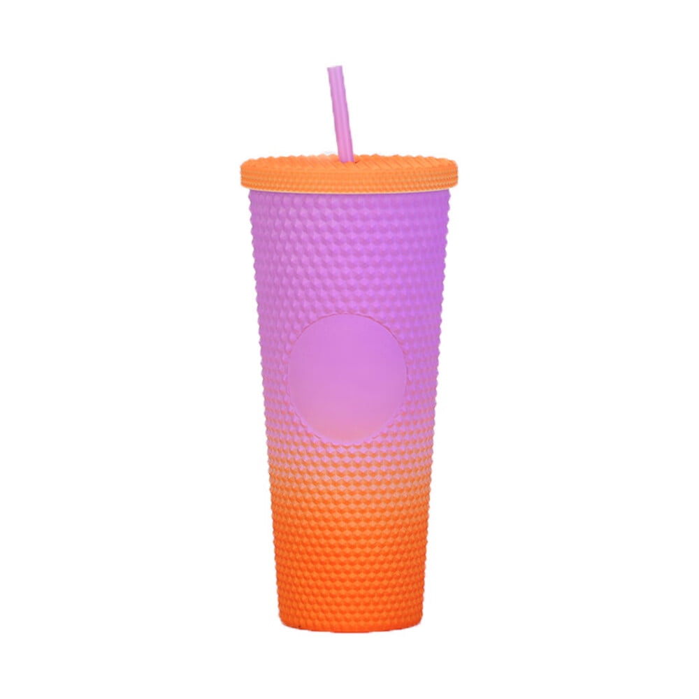 24 oz Double Wall Plastic Matte Studded Tumbler with Lid and Straw ...