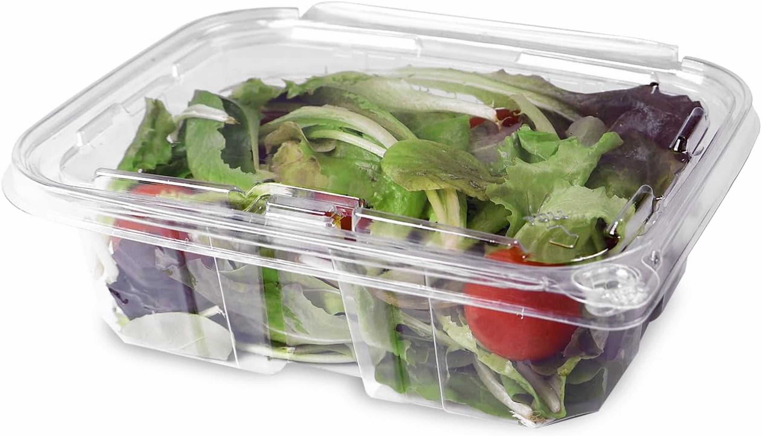 24 oz RPET Clear Hinged Lid Tamper Evident Container – 200 Pcs ...