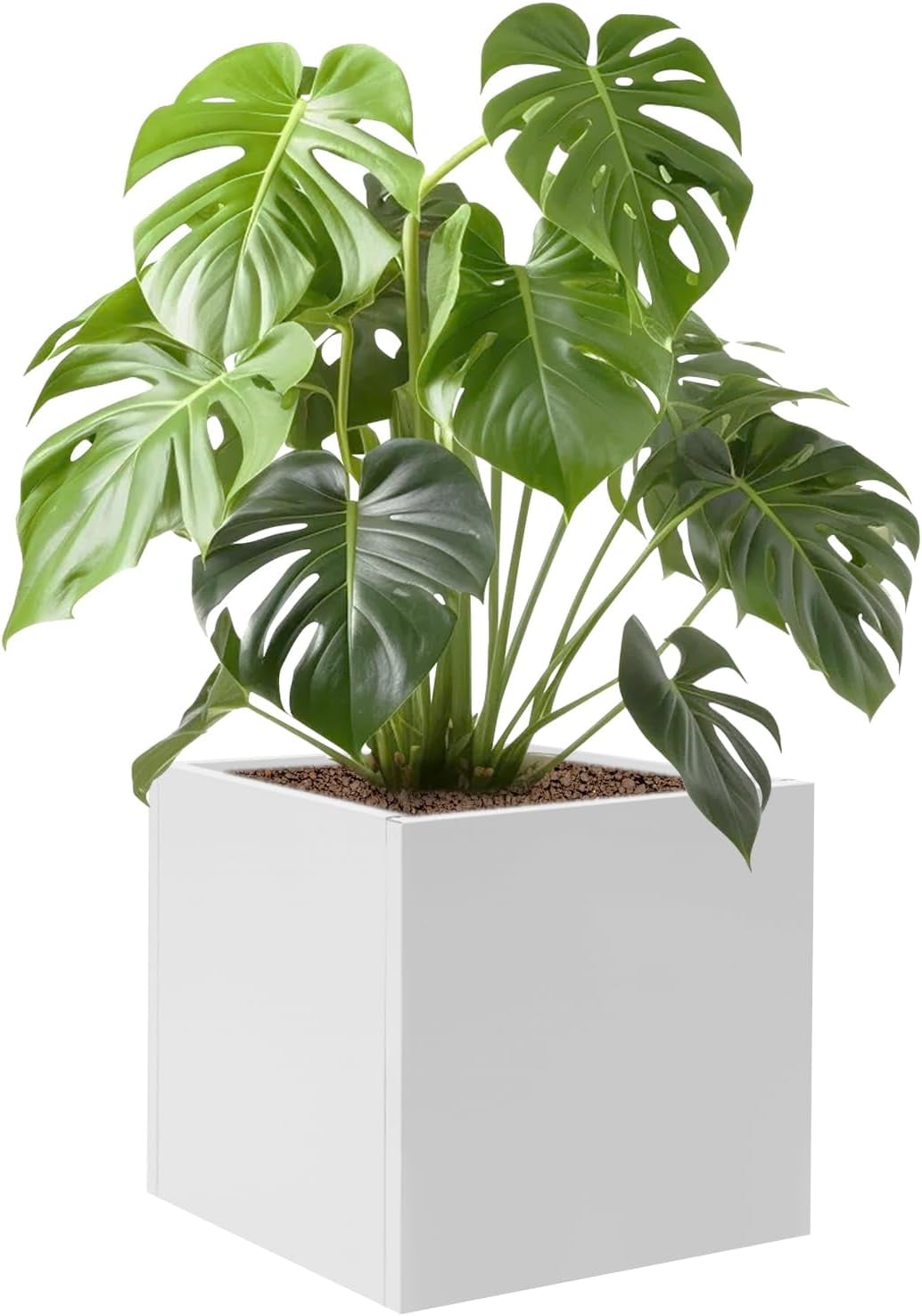 24" x 24" x 24" Modern Steel Planter Metal Box, Commercial Square ...