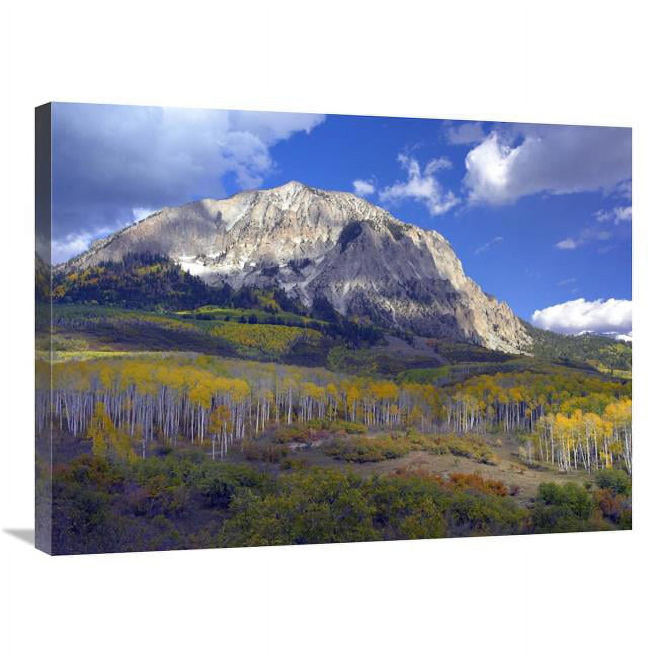 24 x 32 in. Fall Colors At Gunnison National Forest, Colorado Art Print ...
