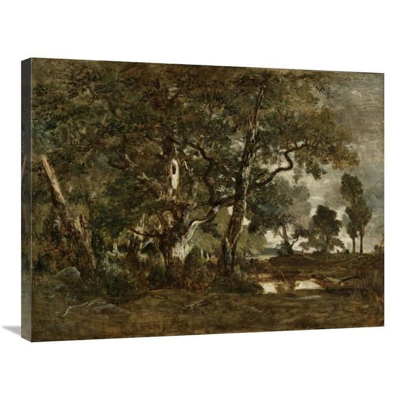 24 x 32 in. Forest of Fontainebleau, Cluster of Tall Trees Overlooking ...