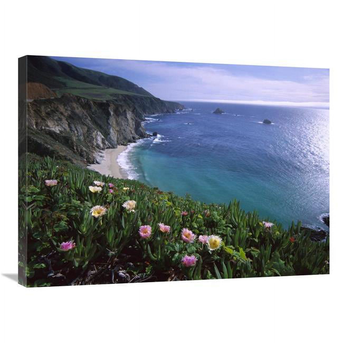 24 x 32 in. Ice Plant or Hottentot Fig Big Sur Coast Near Bixby Creek ...