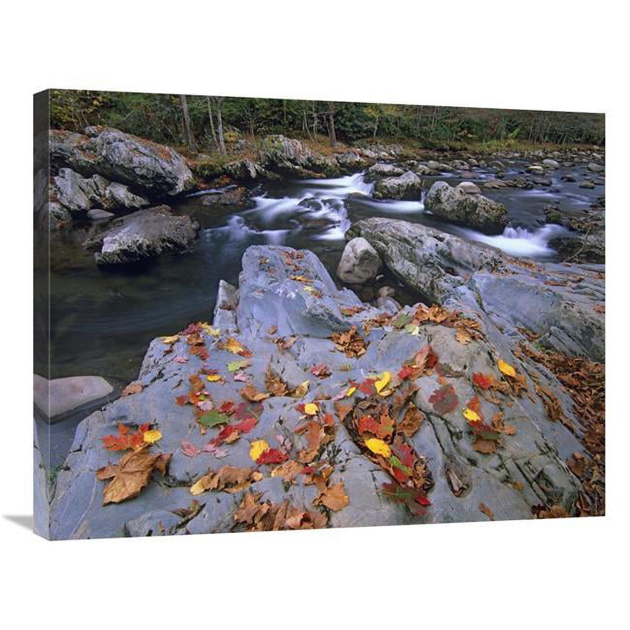 24 x 32 in. Little Pigeon River, Great Smoky Mountains National Park ...
