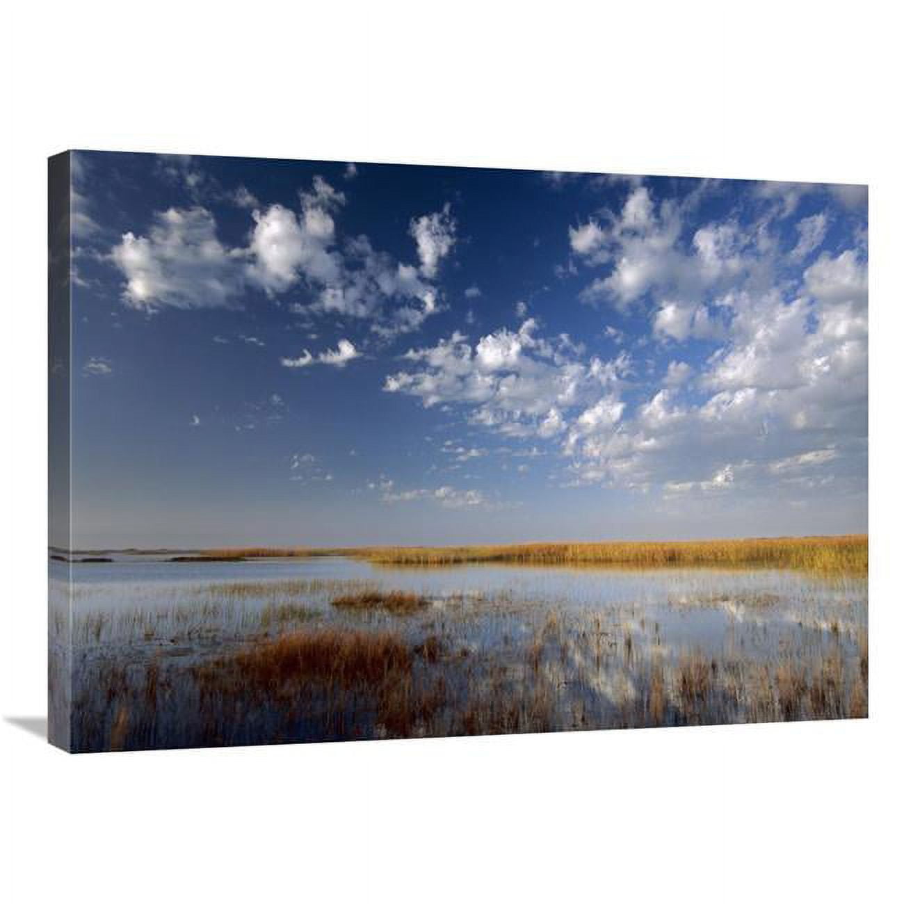 24 x 32 in. Marsh, Padre Island National Seashore, Texas Art Print ...