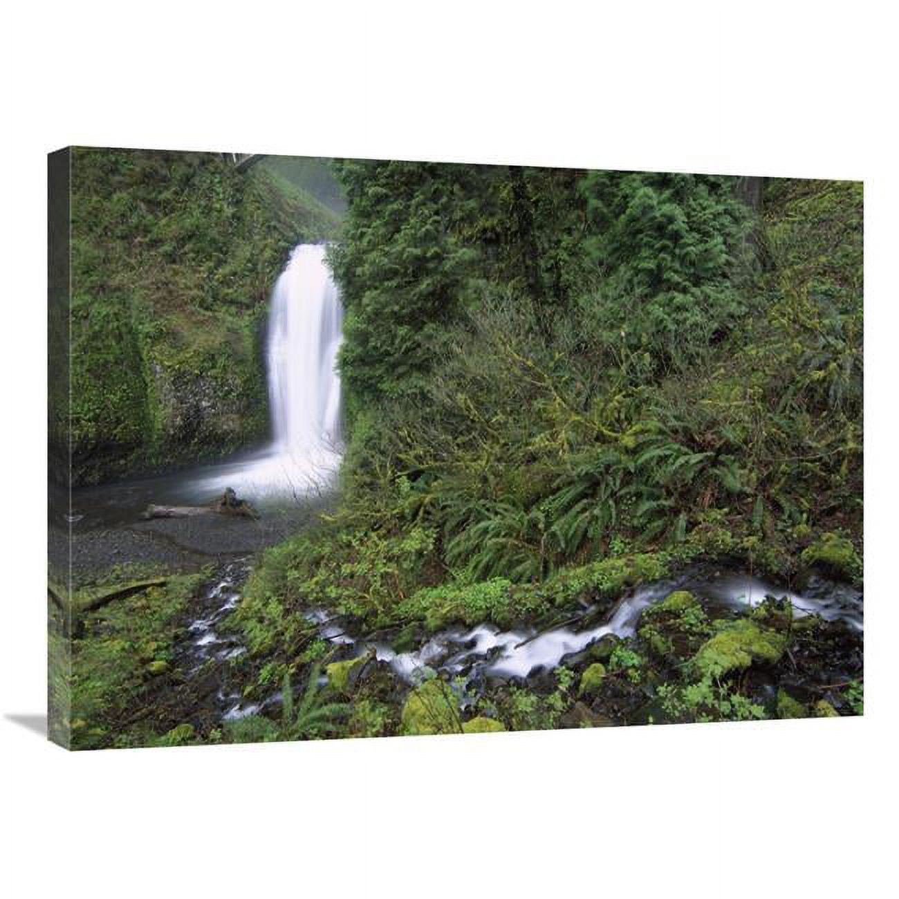 24 x 32 in. Multnomah Falls Cascading Through Temperate Rainforest ...