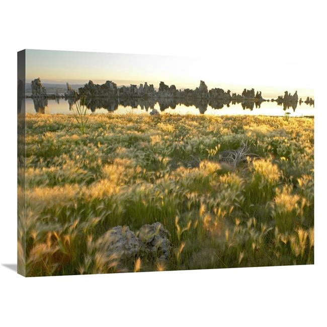 24 x 32 in. Squirreltail Barley & Tufa Towers Silhouetted at Dawn, Mono ...