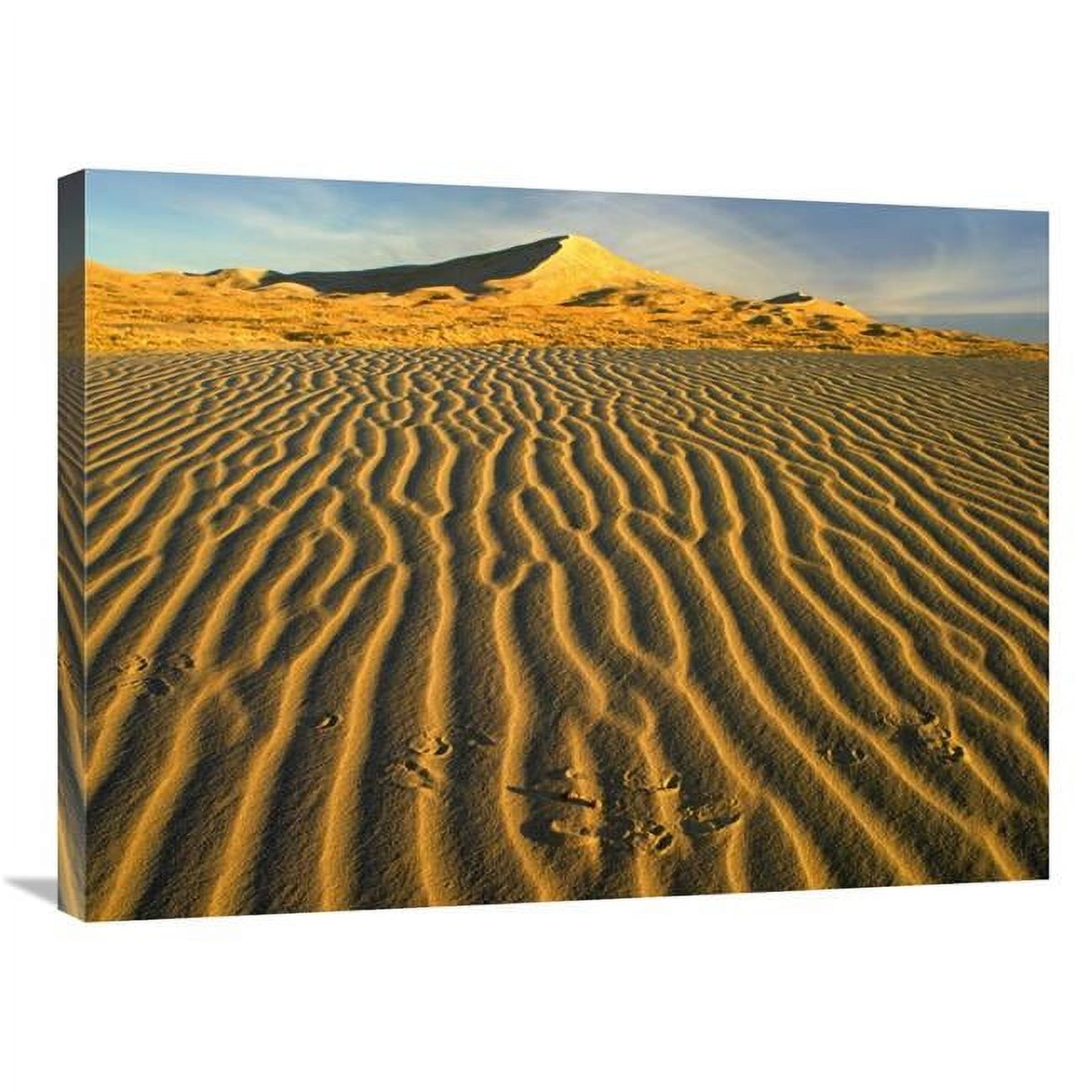 24 x 32 in. Wind Ripples in Kelso Dunes, Mojave National Preserve ...