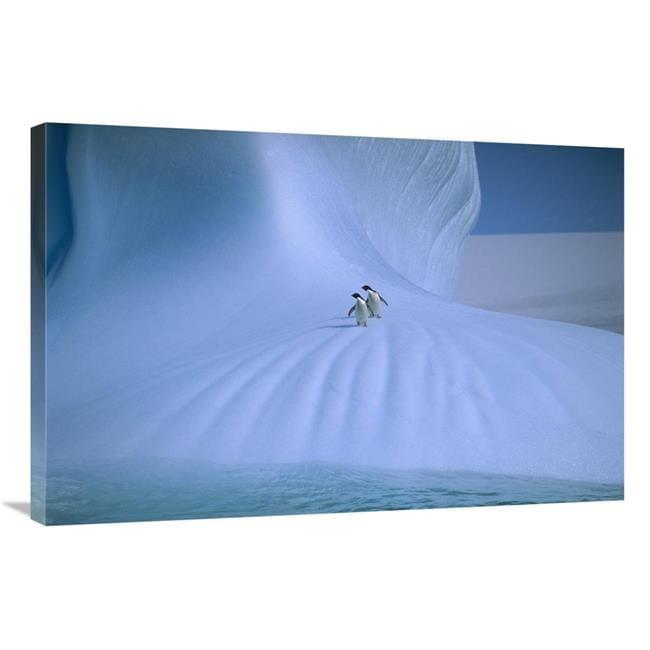 24 x 36 in. Adelie Penguin Pair on Iceberg, Antarctica Art Print ...