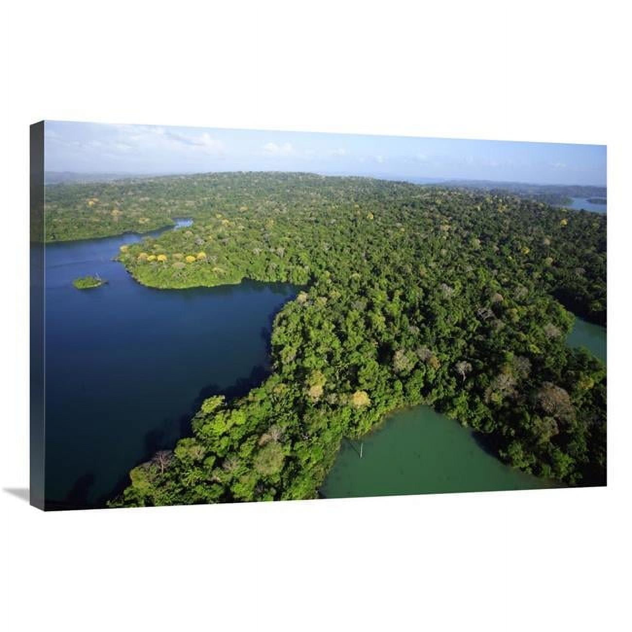 24 x 36 in. Aerial VIew of the Canal Zone, Barro Colorado Island ...