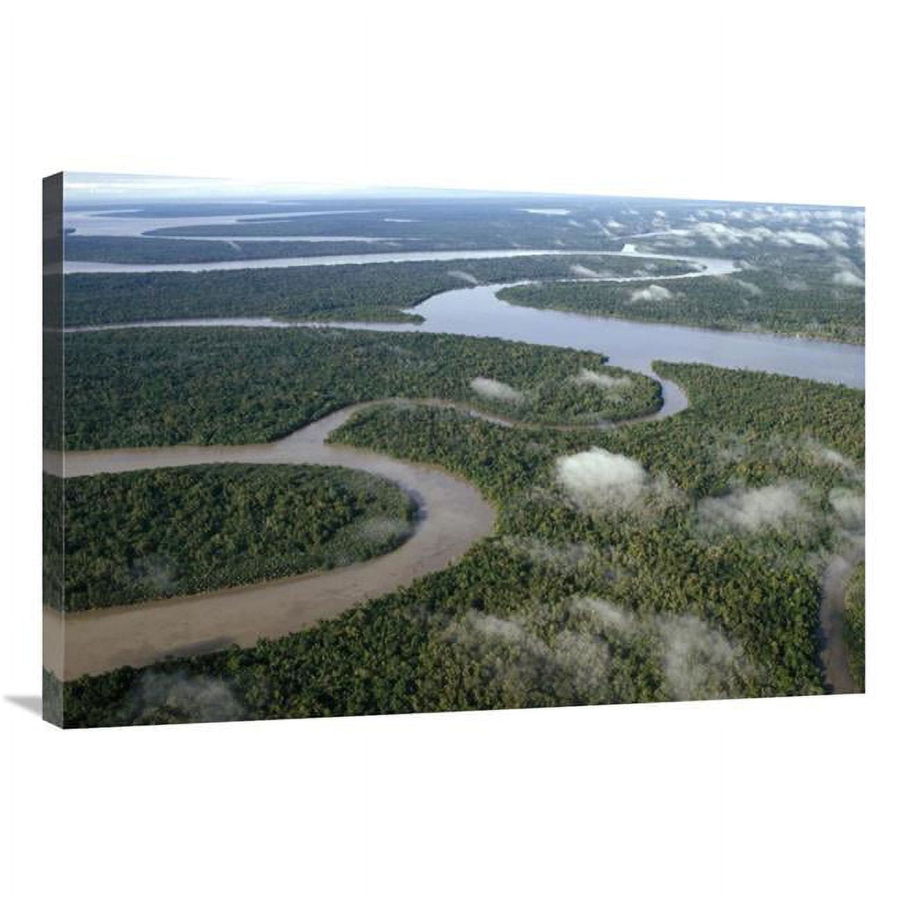 24 x 36 in. Aerial of Tropical Rainforest & Winding Rivers, Kikori ...