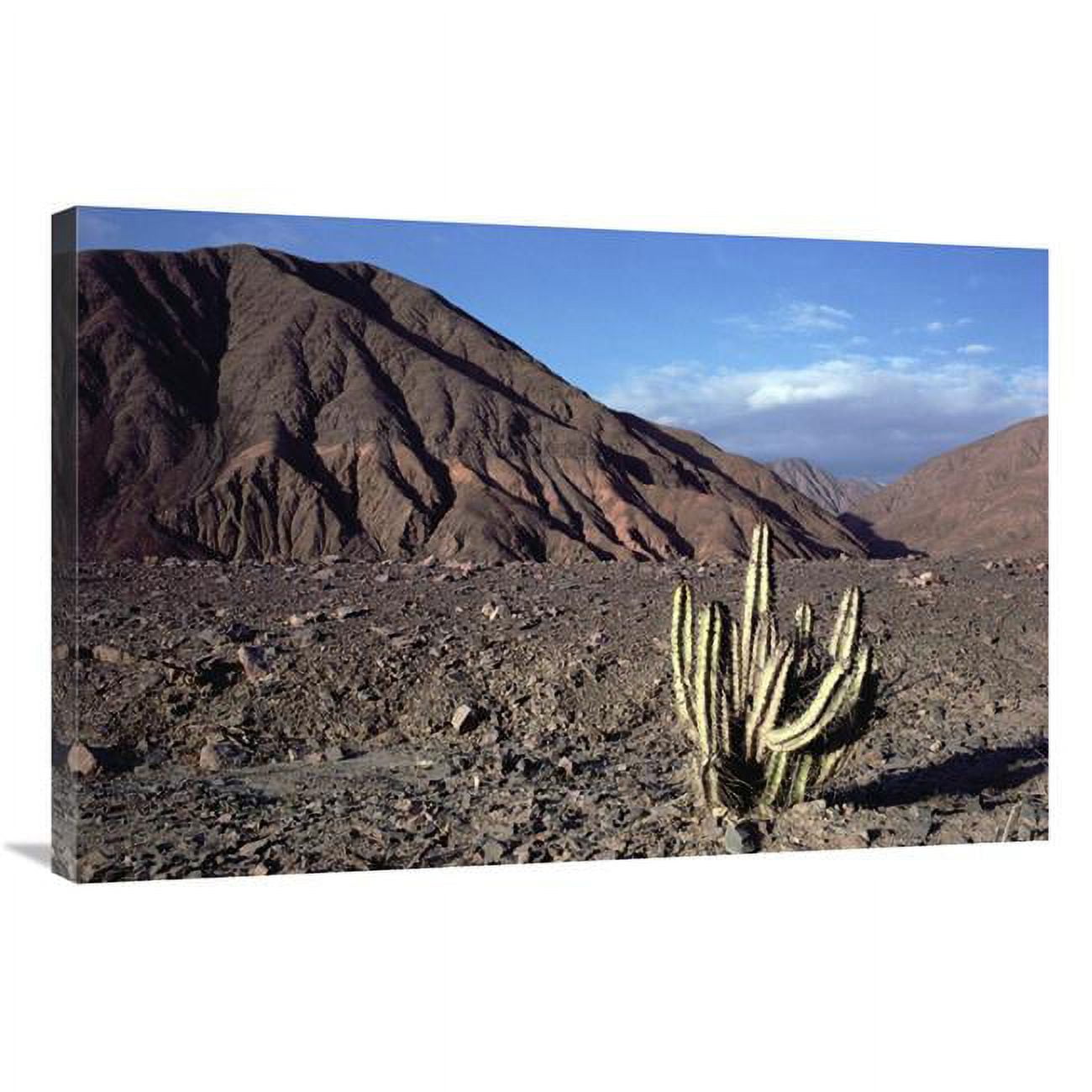 24 x 36 in. Atacama Desert Located At Foothills of the Andes, Driest ...