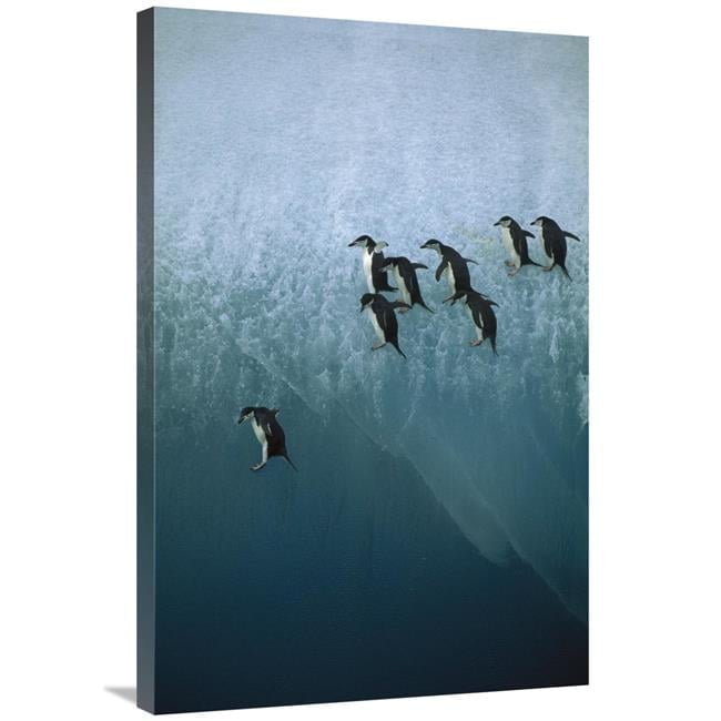 24 x 36 in. Chinstrap Penguins Group Jumping Off Blue Iceberg Into ...
