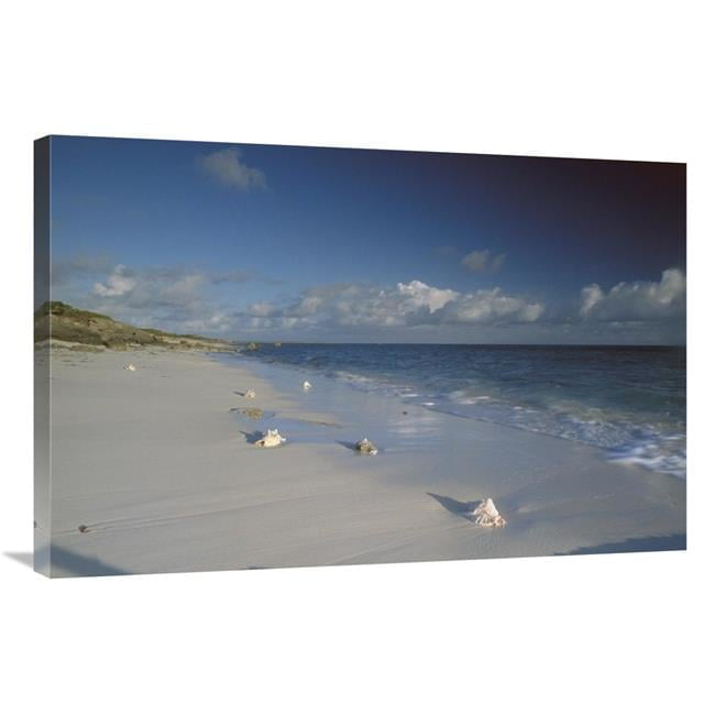 24 x 36 in. Conch Shell on Seven Mile Beach, Grand Turk Island, Turk ...