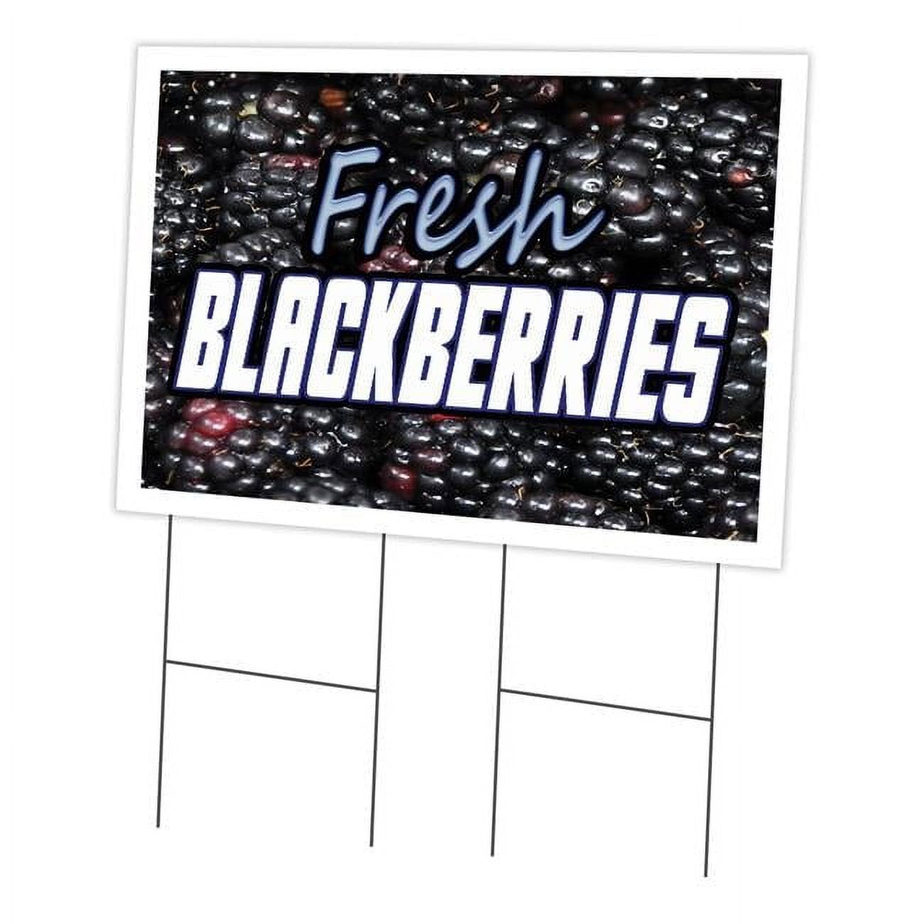 24 x 36 in. Fresh Blackberries Yard Sign & Stake - Walmart.com