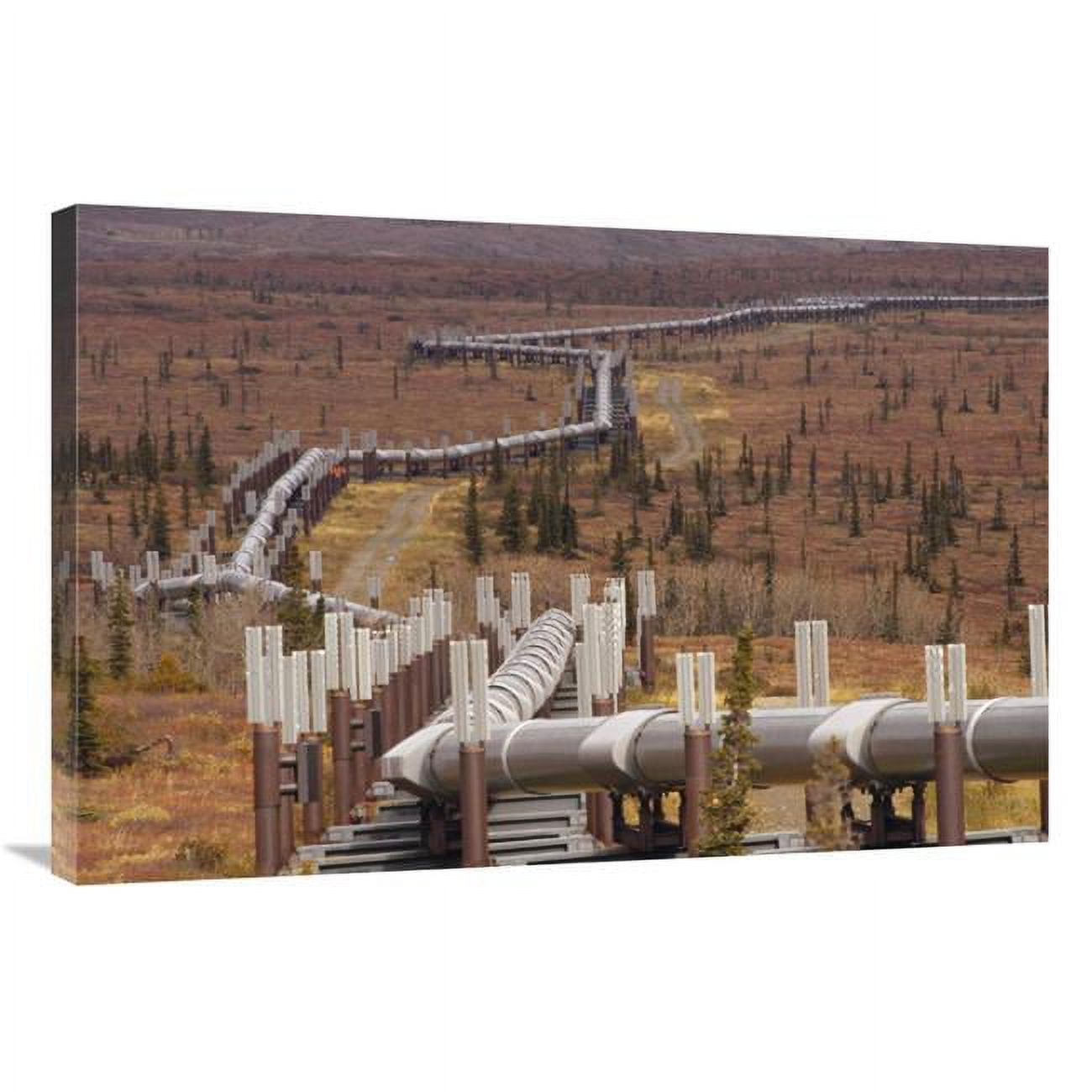 24 x 36 in. Oil Pipeline Crossing Taiga, Alaska Art Print - Gerry Ellis ...