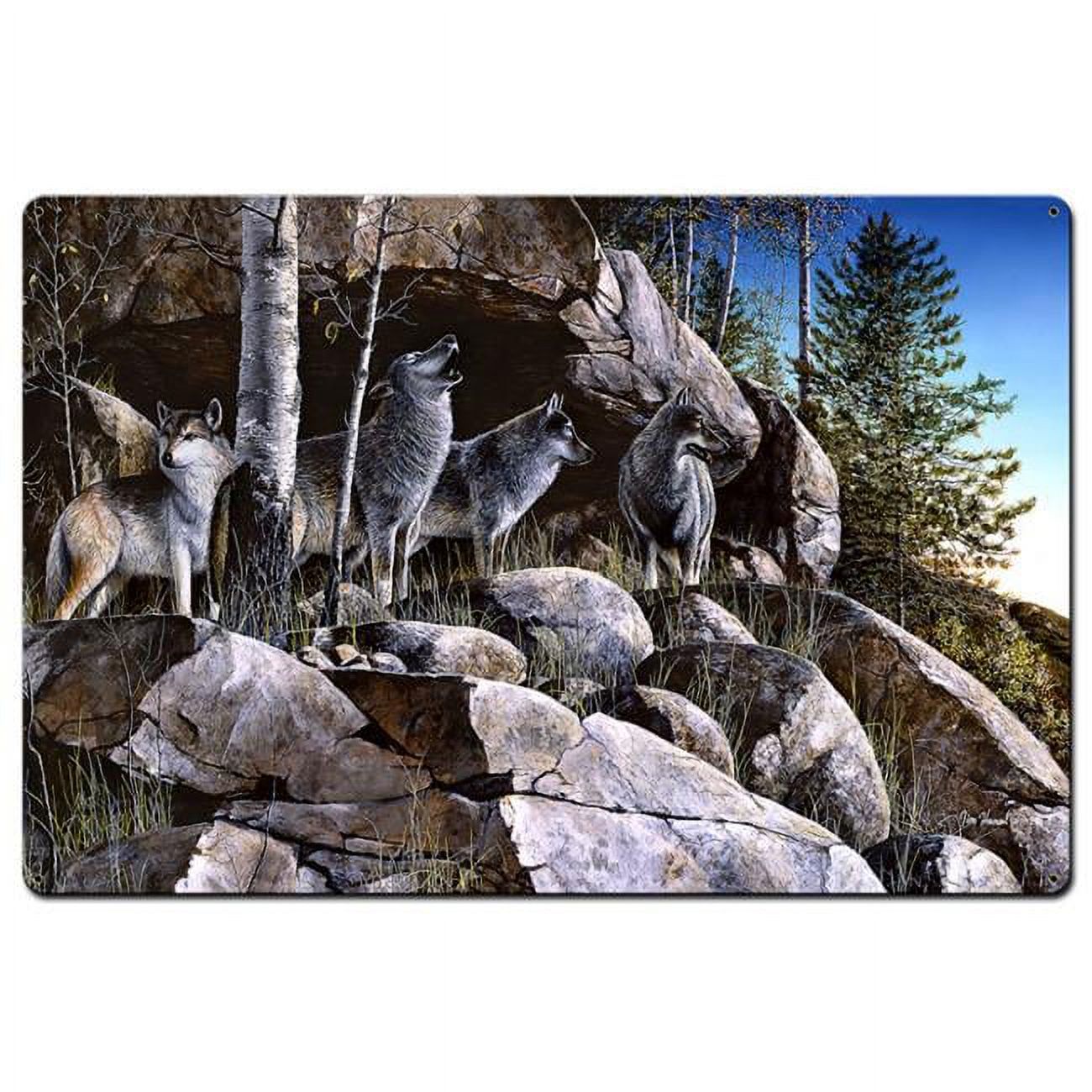 24 x 36 in. Rocky Outpost Satin Metal Sign - Walmart.com