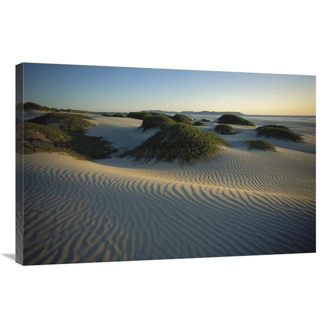 24 x 36 in. Sand Dunes Stabilized by Vegetation, Magdalena Island, Baja ...