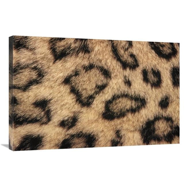 24 x 36 in. Snow Leopard Skin Showing Spotted Pattern, Native to Asia ...