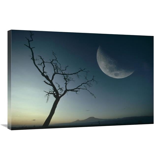 24 x 36 in. Whistling Thorn & Moon, Amboseli National Park, Kenya, East ...