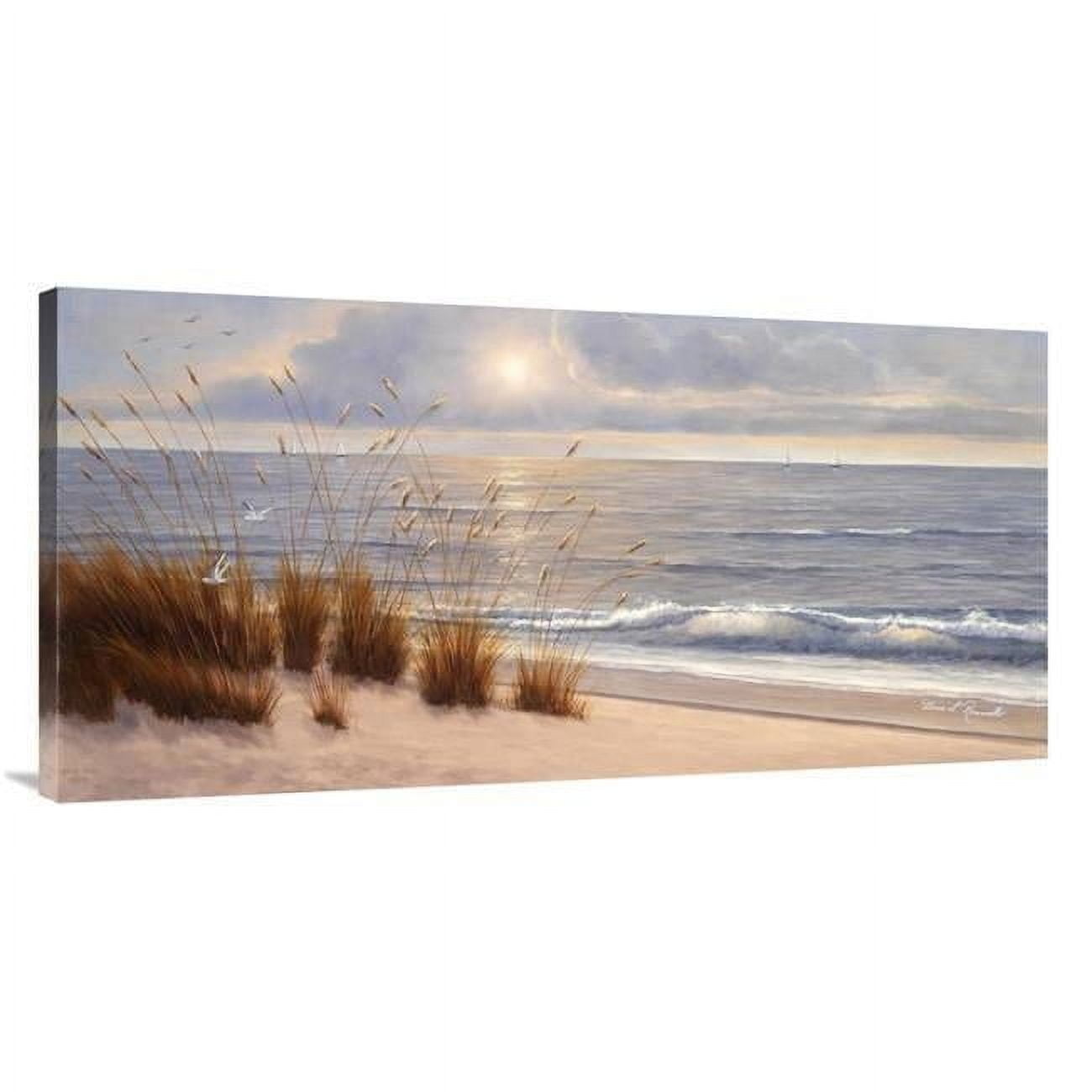 24 x 48 in. Seashore Art Print - Diane Romanello - Walmart.com