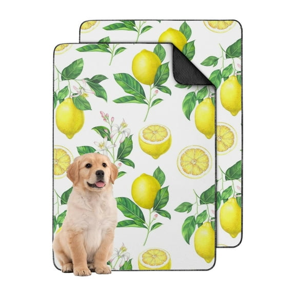 24"x35" Premium Fruit Patterns Themed Washable Dog Pee Pads, Reusable ...