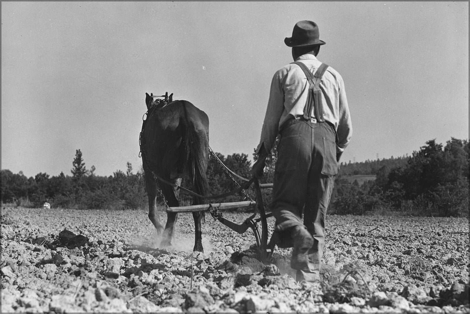 24"x36" Gallery Poster, horse drawn plow in Coosa Valley, Alabama near ...