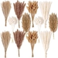 240 PCS Dried Flower Bouquet – Pampas Grass, Floral Decor for Home ...