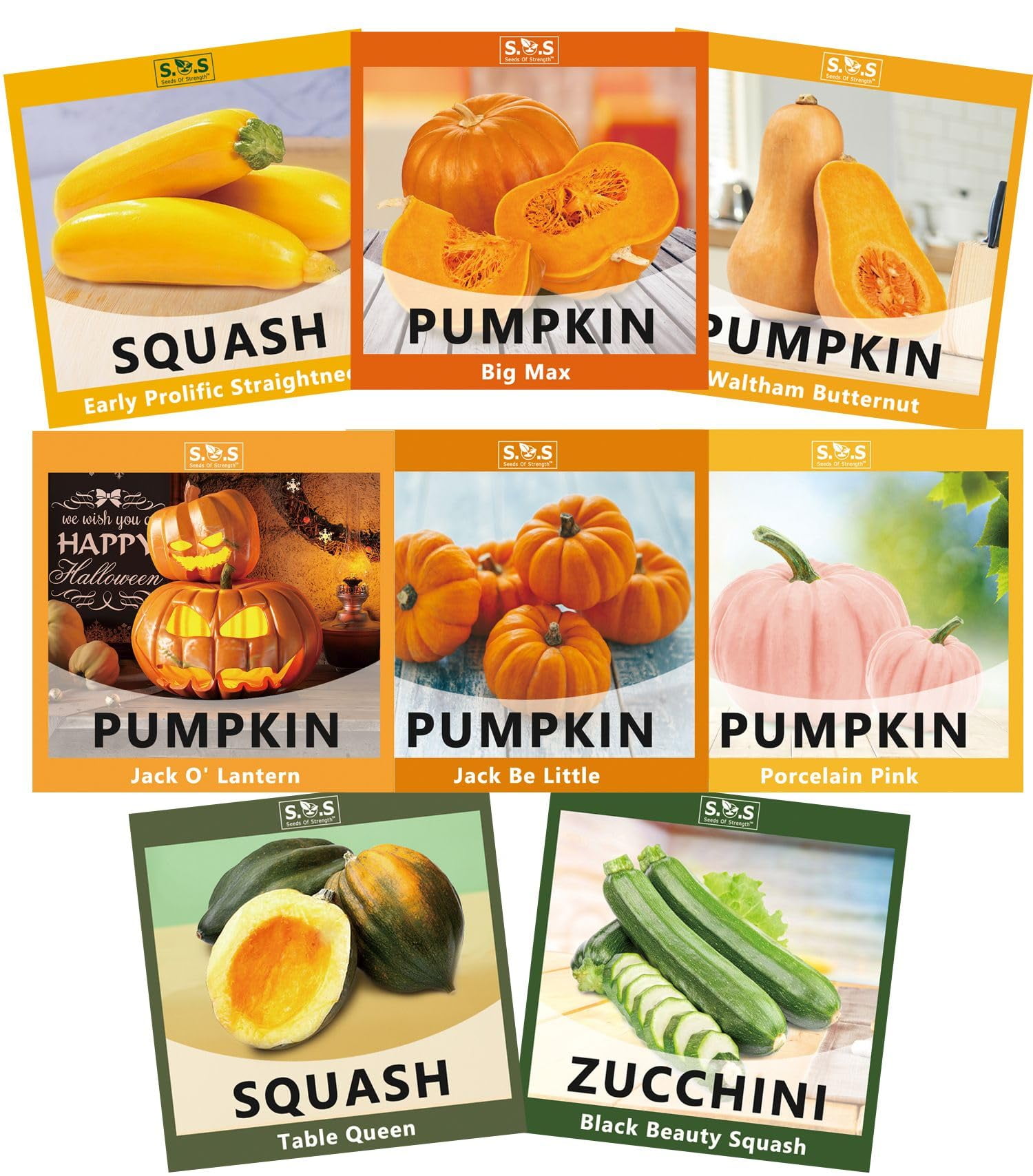 240 PCS PumpkinEGSC Squash Seeds (Summer and Winter) Variety Pack - 8 ...