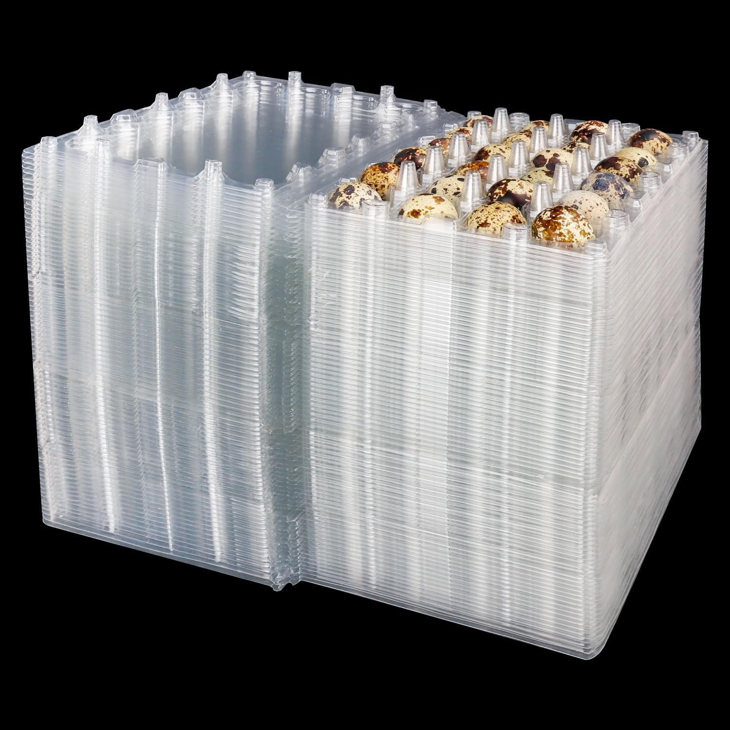 240 Pack Quail Egg Cartons - Clear Plastic Trays Hold 24 Eggs Securely ...