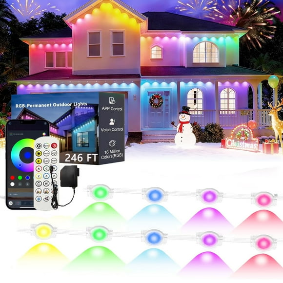 Permanent Outdoor Lights