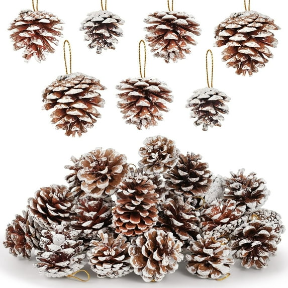 24PCS Snow-Dusted Natural Pine Cones with Gold String – 2-2.5in ...