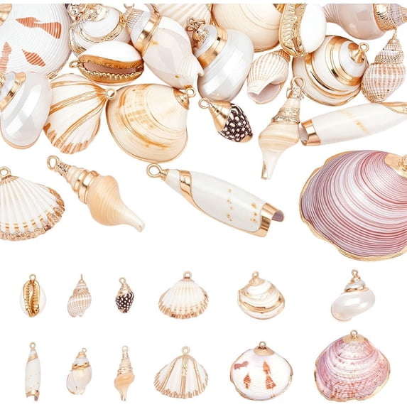 24Pcs 12 Styles Electroplated Natural Shell Pendants with Brass ...