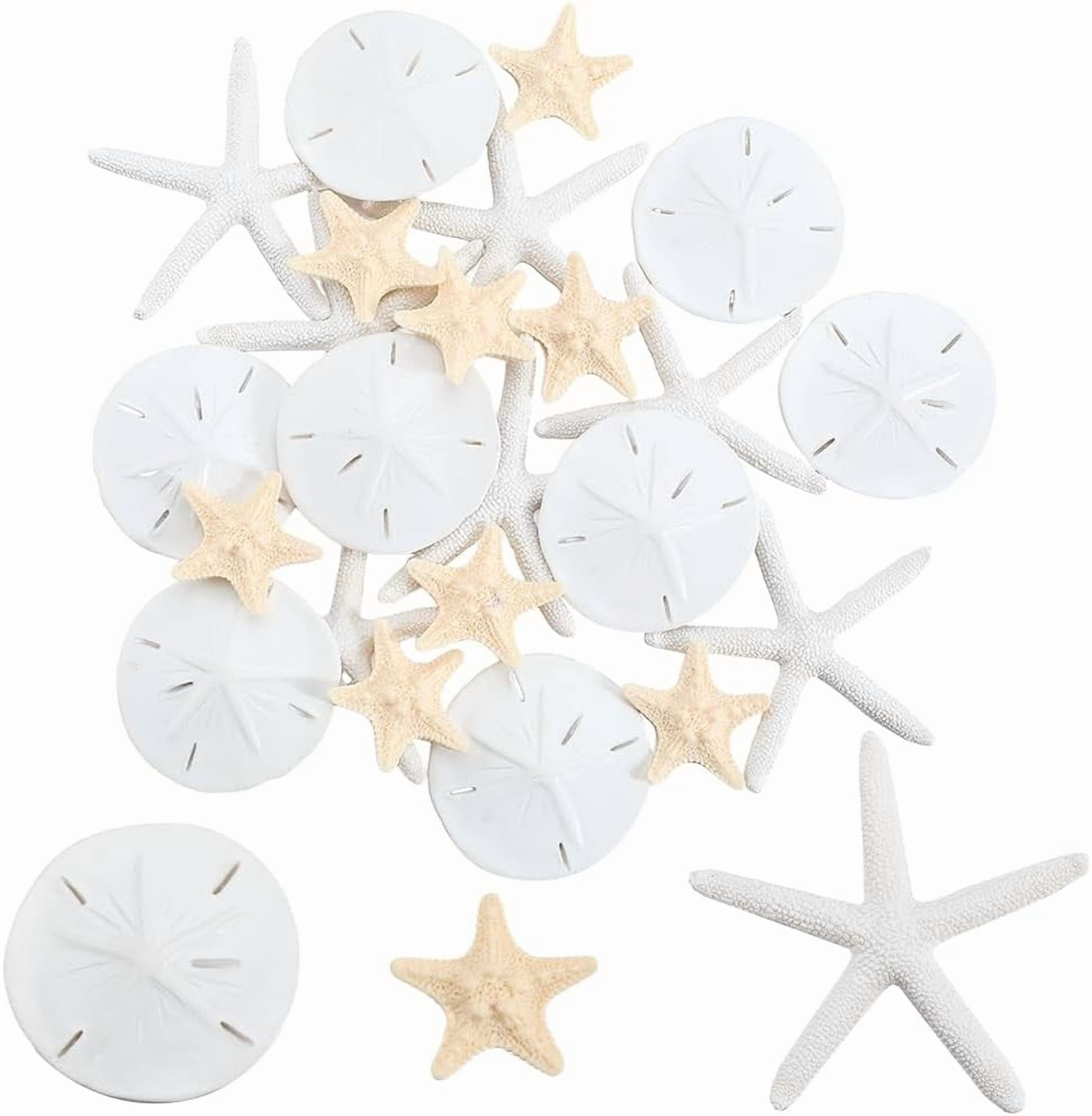 24Pcs 3 Styles Resin Starfish Ornaments Bulk White Natural Summer Ocean ...