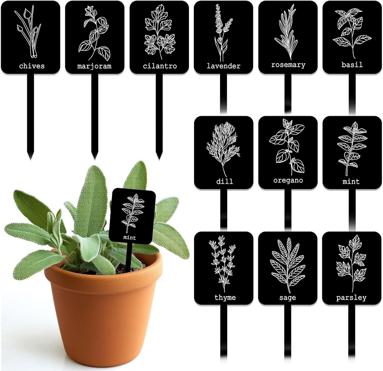 24Pcs Acrylic Plant Label Signs 12 Styles Garden Herb Markers Plant ...