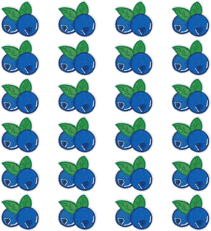 24Pcs Blueberry Iron On Patches 1.2x1.3x0.06 Inch Embroidered Fruit ...