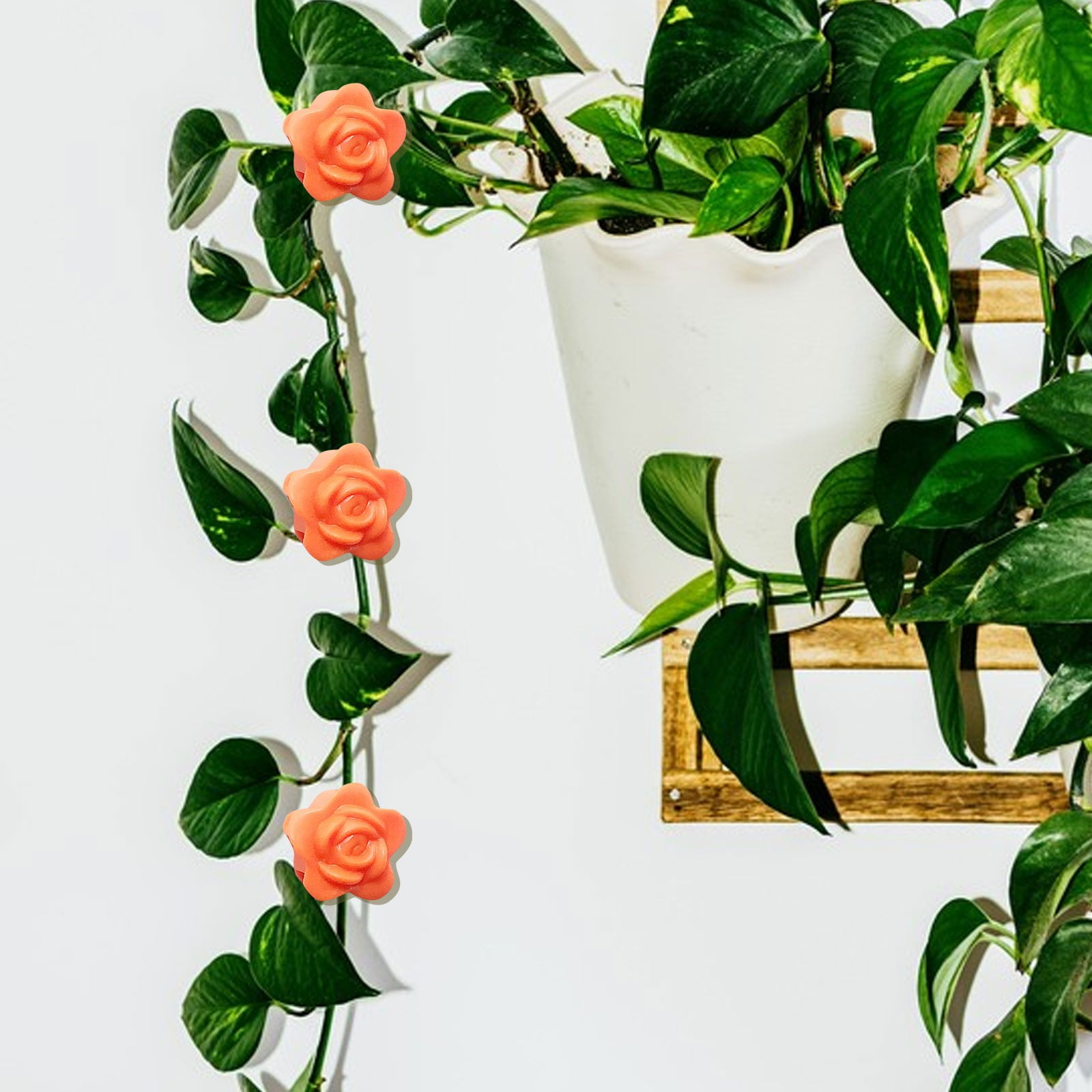 24Pcs Plant Climbing Wall Fixture Clips Plant Fixer Invisible Wall ...