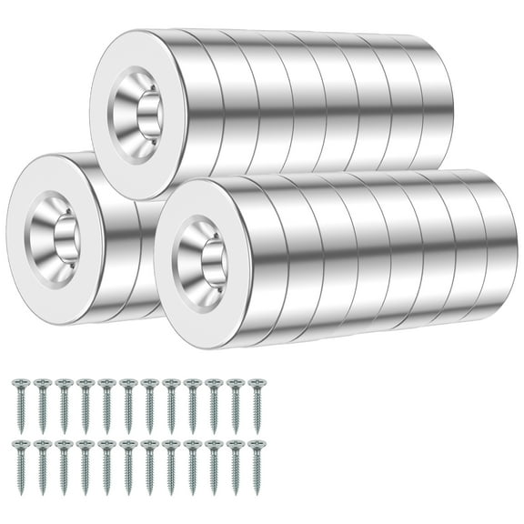 Viona Magnetics Ring Magnet, Ferrite Ceramic-5, 2.75 Inch OD, Axially ...