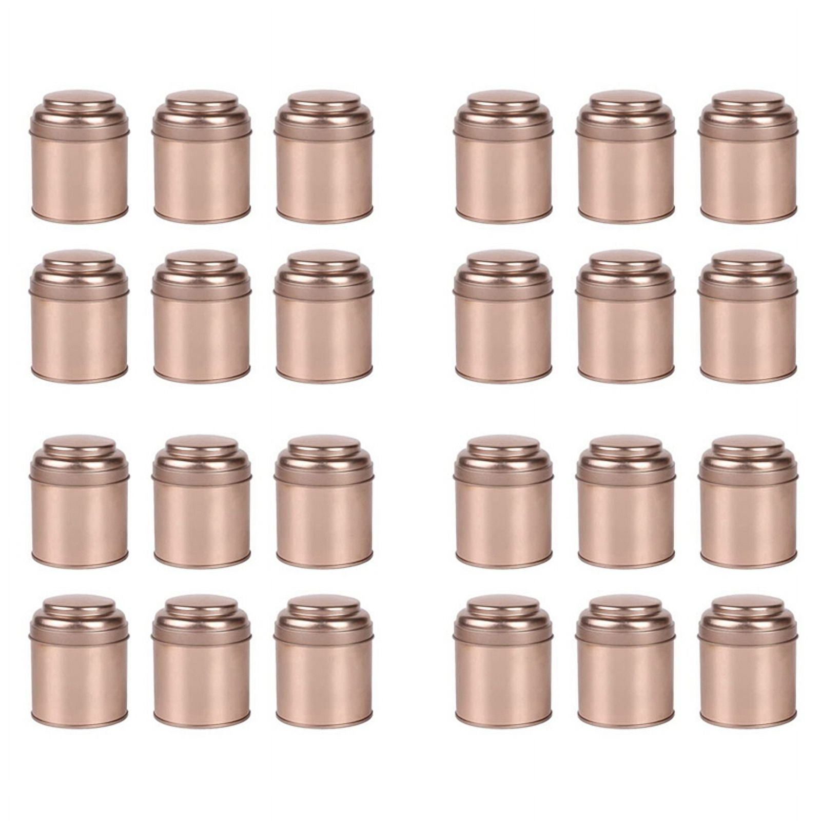 24Pcs Tea Tins Canister with Airtight Double Lids,Mini Tin Can Box and ...