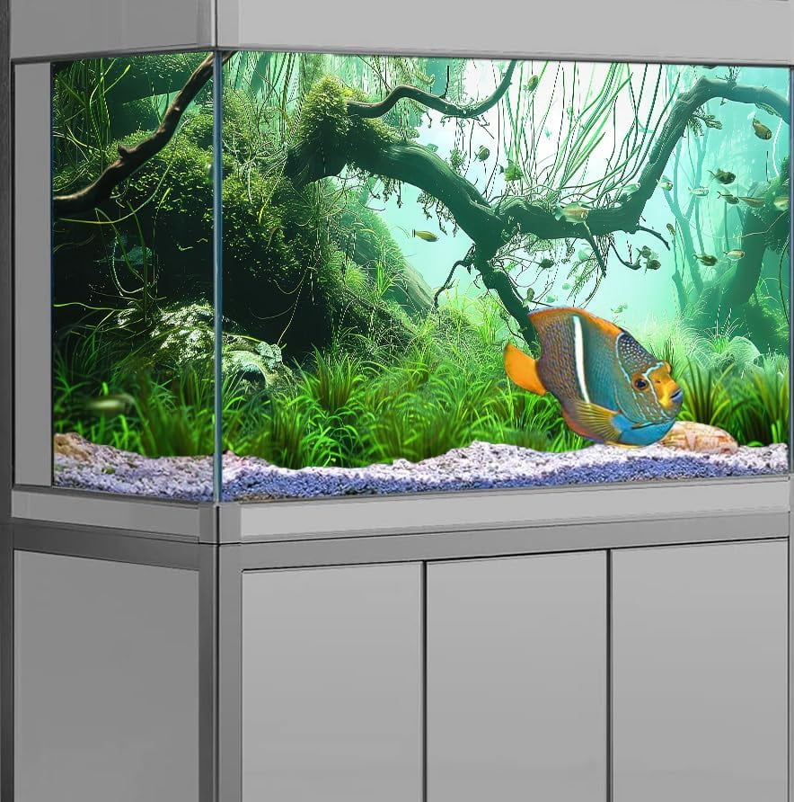 24X12IN Natural Background Aquarium Background, 3D Image of Underwater ...
