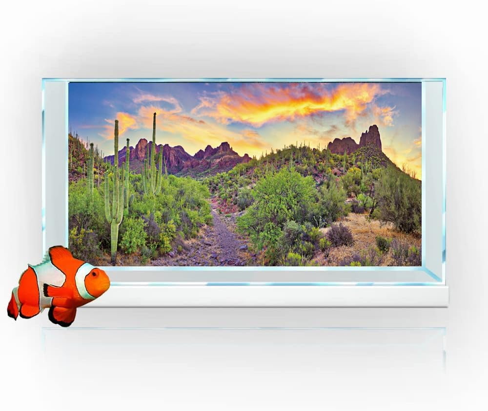 24X12IN Reptile Habitat Background Rock Blue Sky Oasis Cactus Sunset ...