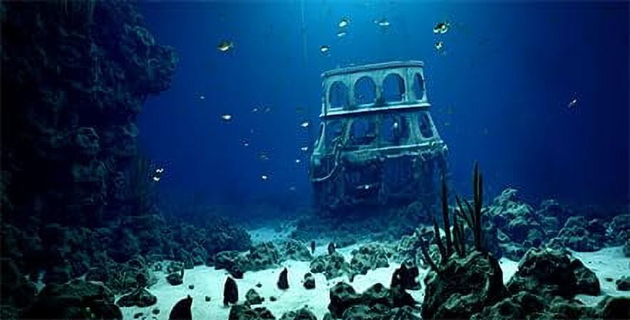 24X16IN Natural Undersea Aquarium Background, Undersea Beach Fish Tank ...