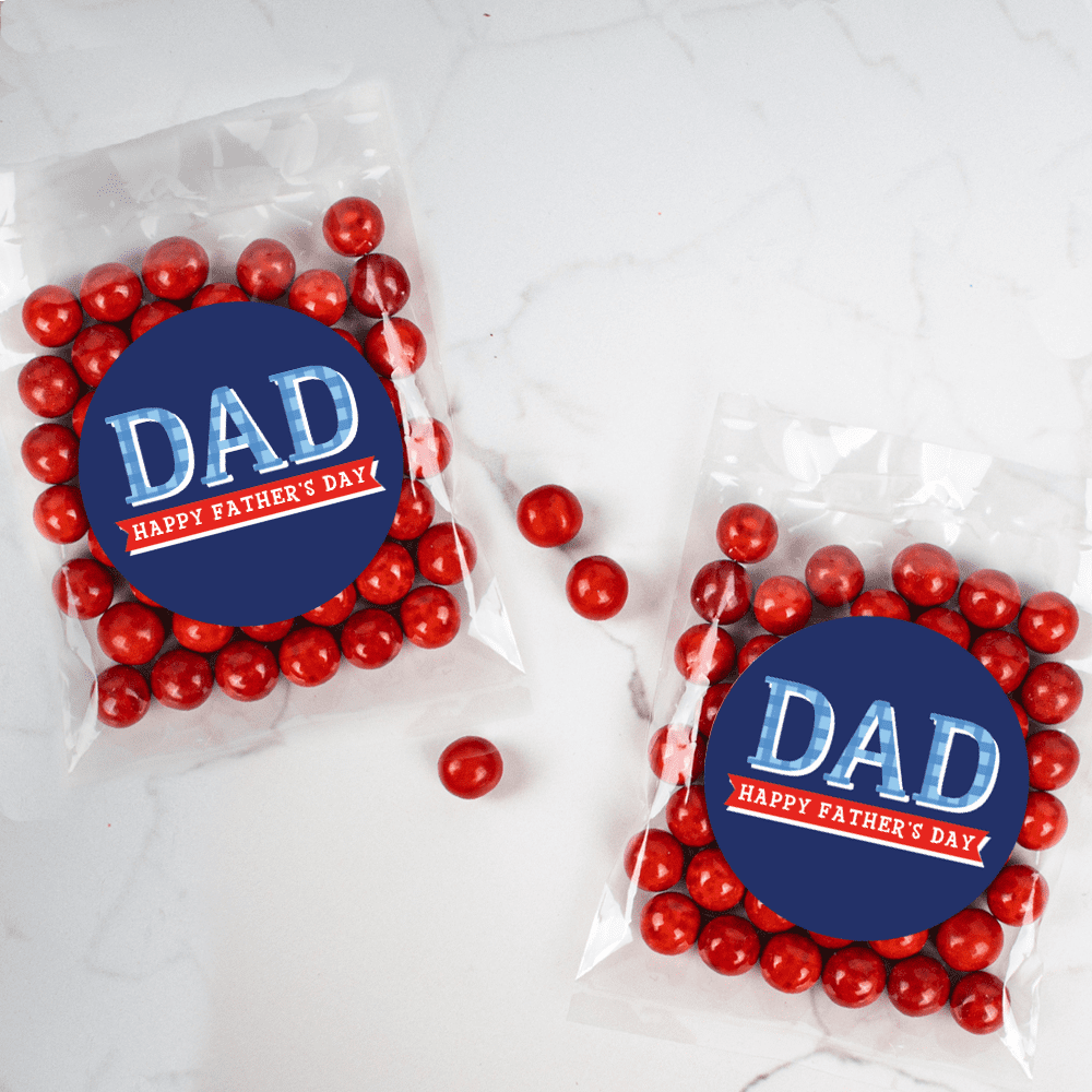 24ct Father's Day Candy Gifts in Bulk Sixlets Chocolate Party Favors ...