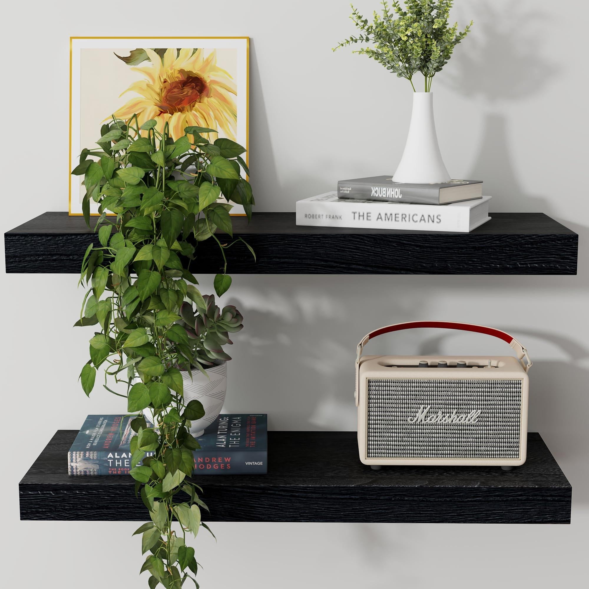 24inch Floating Shelves, 2 Pack 8 inch Deep Modern Solid Wood Wall ...