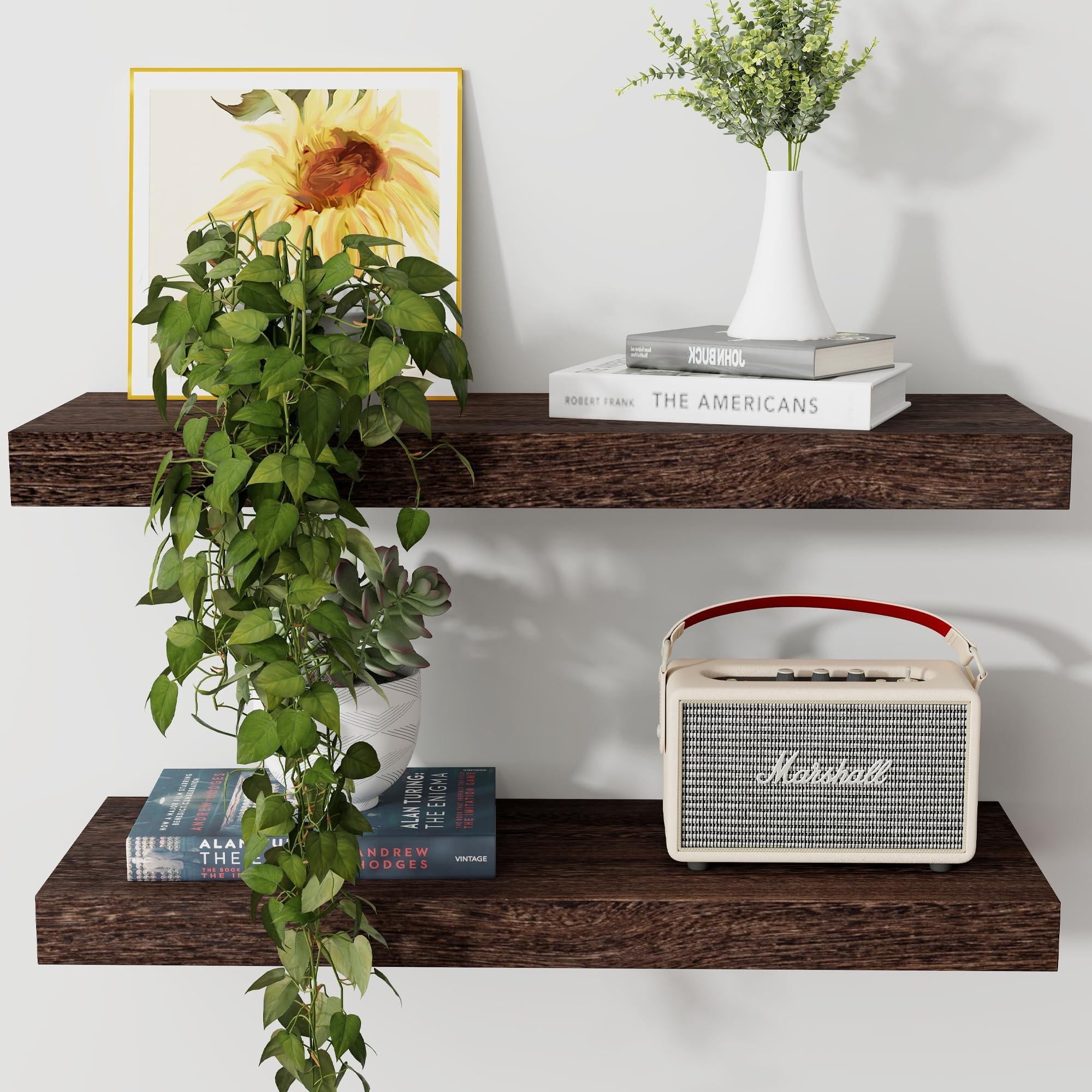 24inch Floating Shelves, 2 Pack 8 inch Deep Modern Solid Wood Wall ...